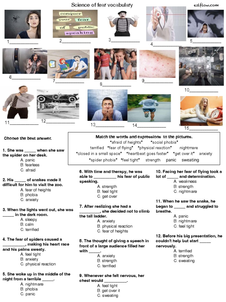 Science-of-fear-vocabulary-2023 | PDF