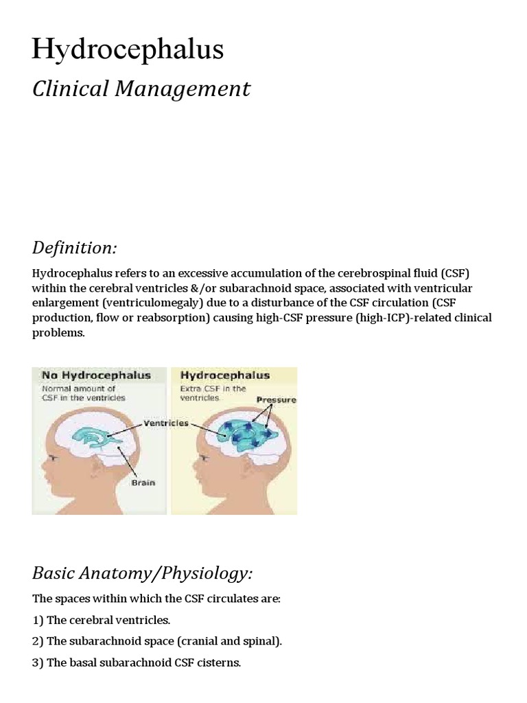 Hydrocephalus | PDF | Cerebrospinal Fluid | Anatomy