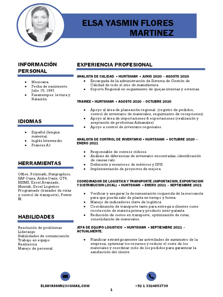 CV - Elsa Flores | Descargar gratis PDF | Logística | Procesos de negocio