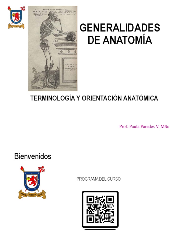 GENERALIDADES ANATOMIA PLANOS Y EJES TO Usach 2019 | Descargar gratis ...