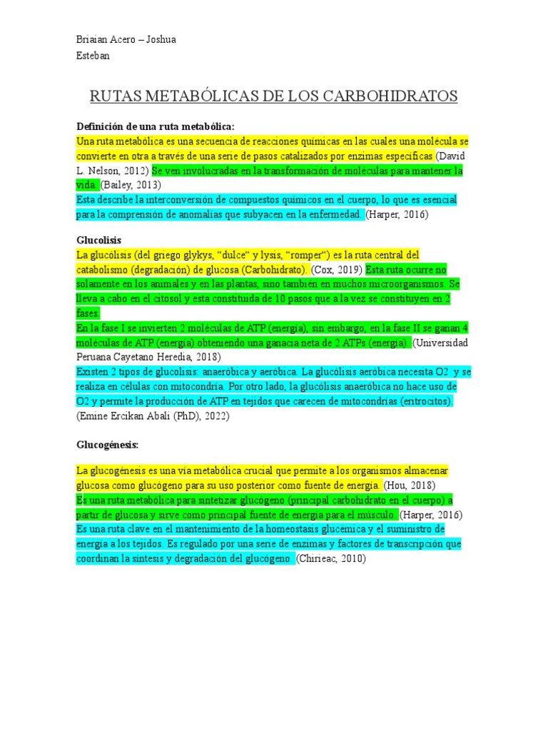 Rutas Metabólicas de Los Carbohidratos Original | PDF | Glucólisis | Metabolismo