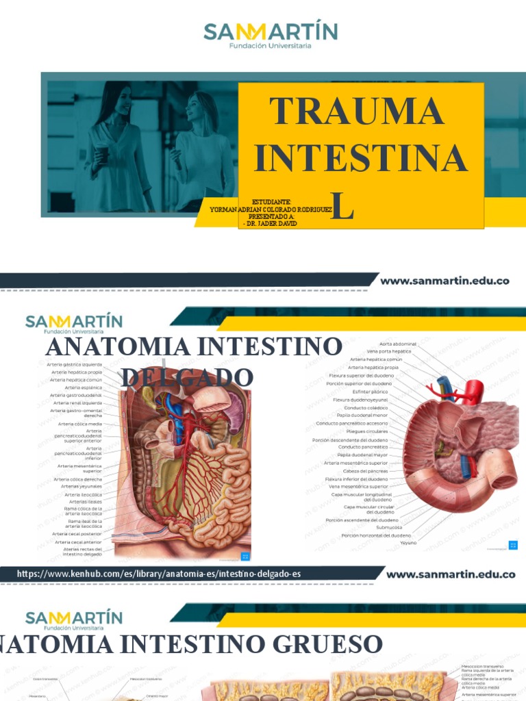 Trauma Intestinal | PDF