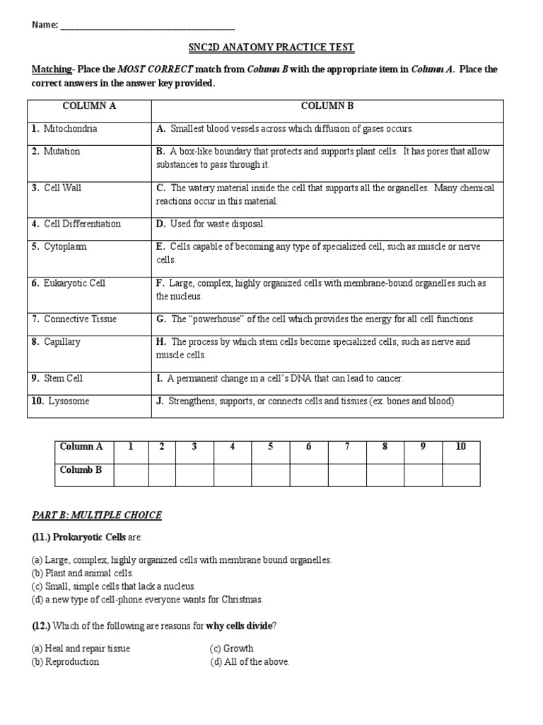 Practice Test | PDF | Cell (Biology) | Mitosis