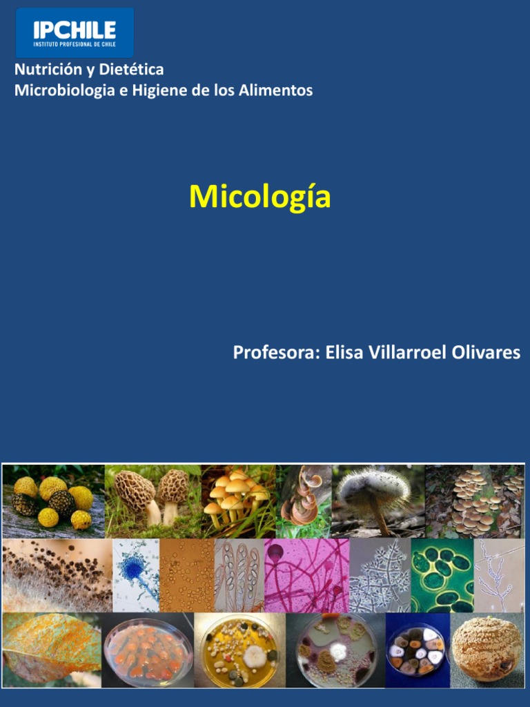 Clase 5 Micología | PDF | Hongo | Molde