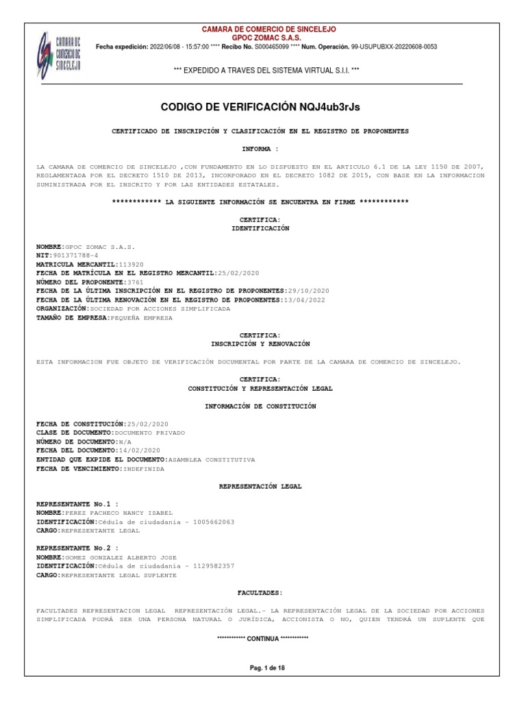 Rup Gpoc Zomac Sas 08 Junio 2022 | PDF | Ingenieria Eléctrica | Perforación