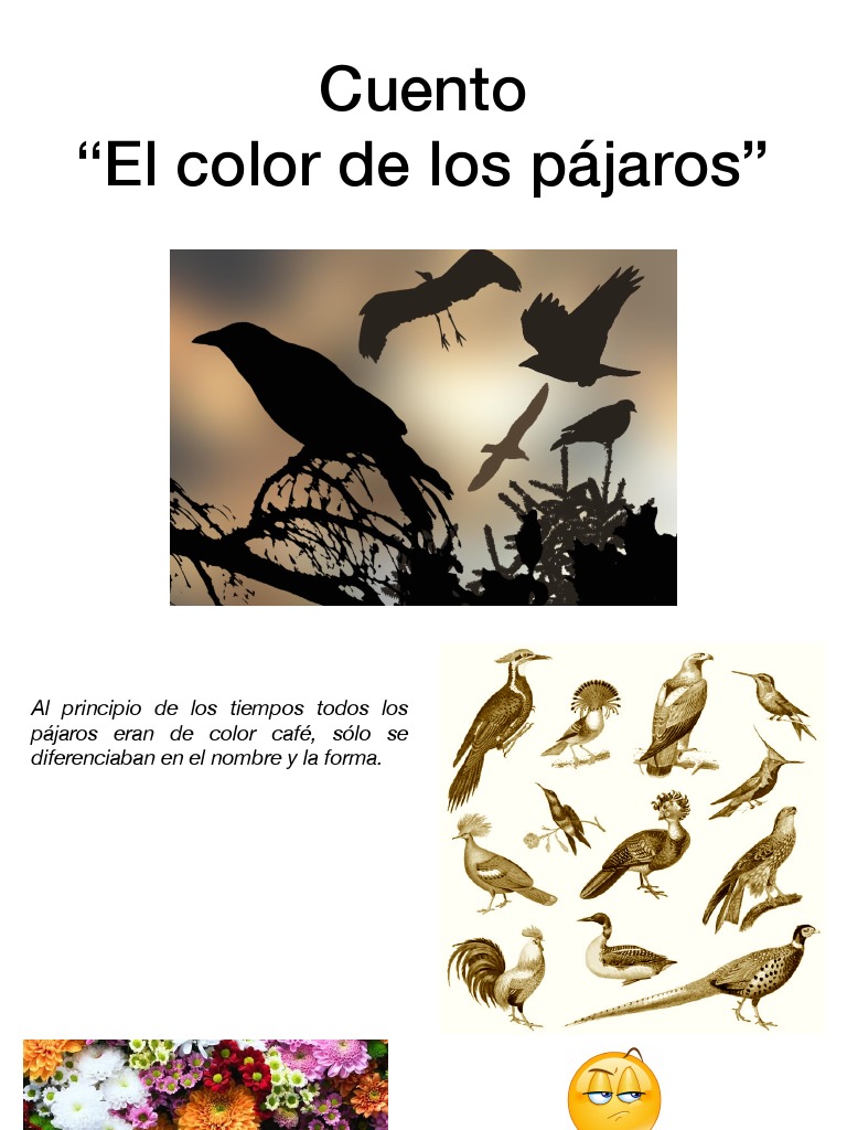 El Cuento de Los Pajaros | PDF