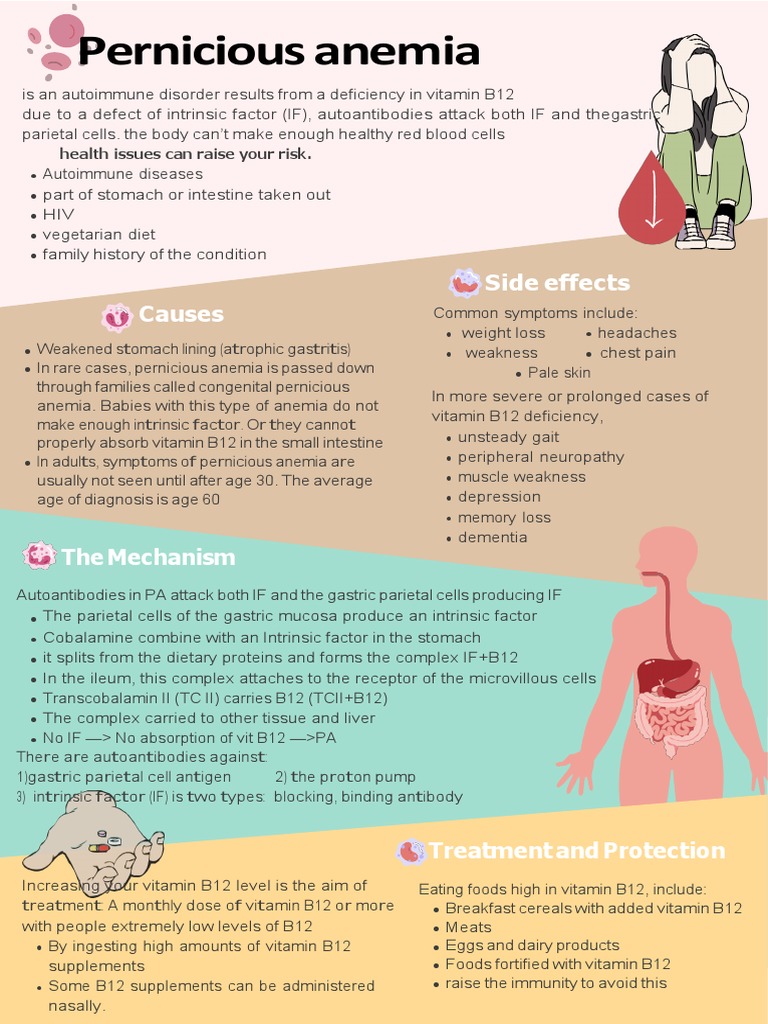 (Pernicious Anemia) Group 4 | PDF | Vitamin B12 | Medical Specialties