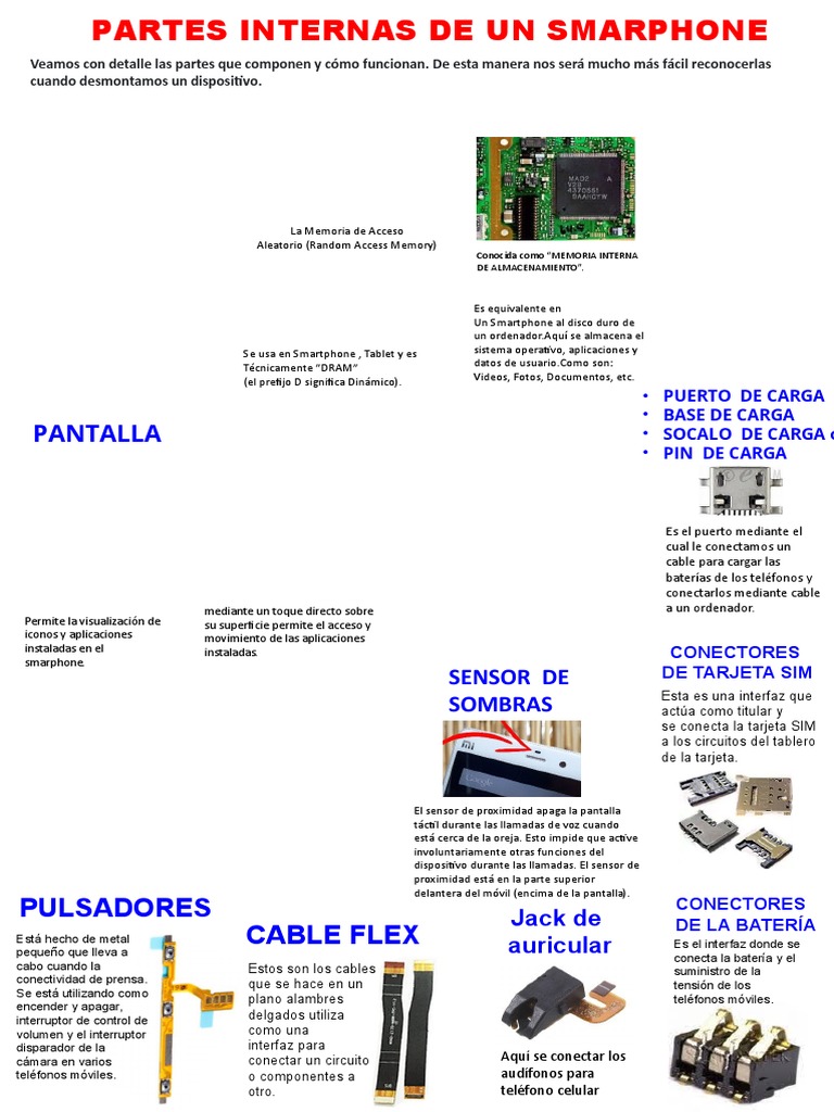 Partes Internas Del Celular | PDF | Teléfono | Altoparlante