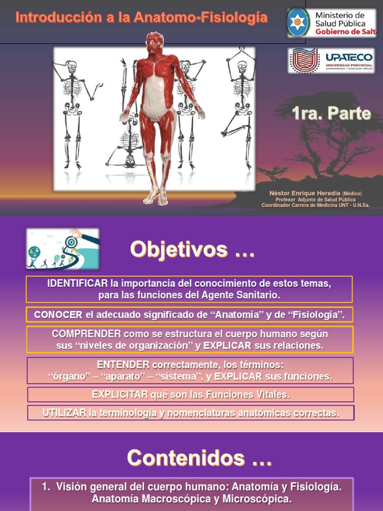 1. Introducción Anatomo-Fisiología_A.S. 2023 (2) | PDF | Digestión | Sangre