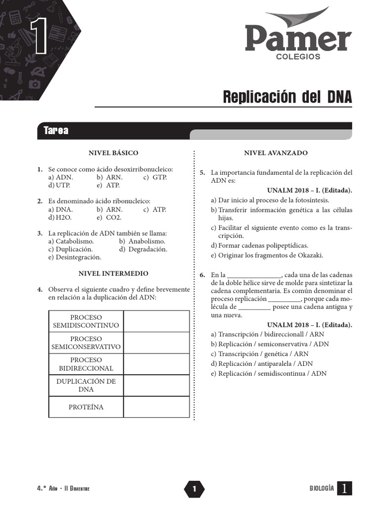 14 Tarea Biologia 4°año | PDF | Replicación De Adn | Adn