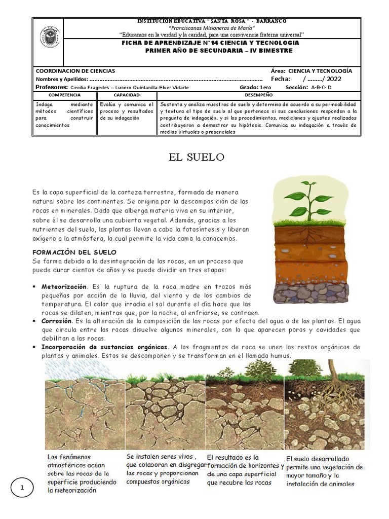 Capa De Material Parental Del Suelo Los Suelos | Prof Cesar Rodriguez
