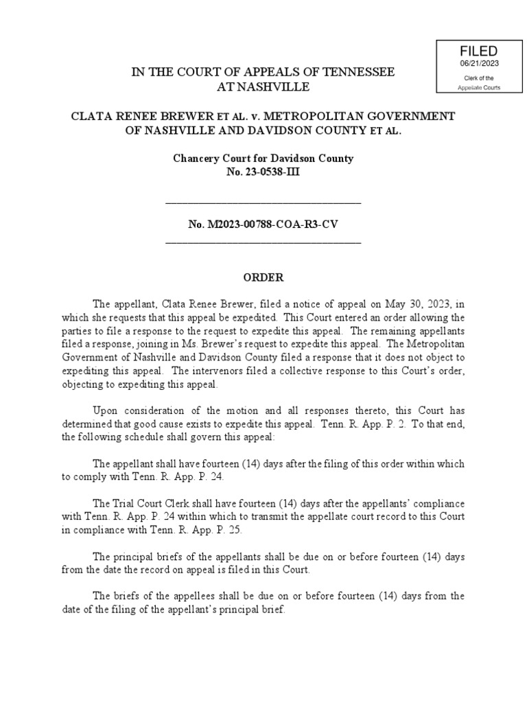 TN Court of Appeals Order | PDF | Appeal | Judgment (Law)