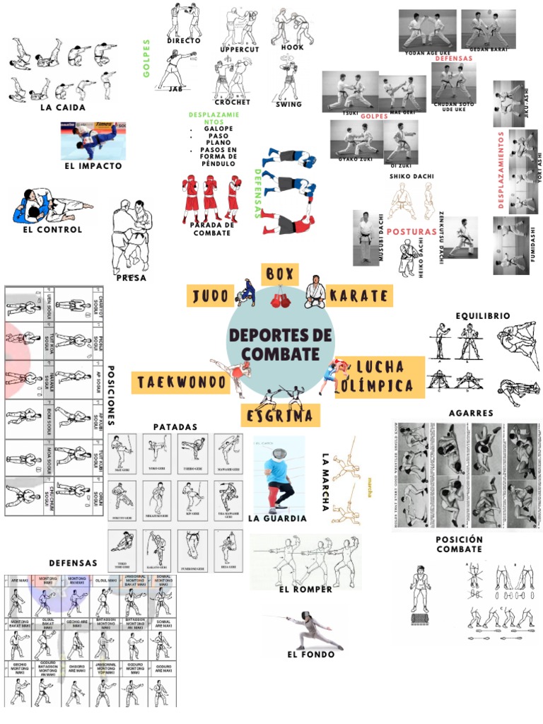 Deportes de Combate - Mapa Mental | PDF | Kárate | Deportes de interior