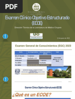 Paginas MANUAL PARA PREPARAR PRUEBAS ECOE DE ENFERMERIA | PDF ...