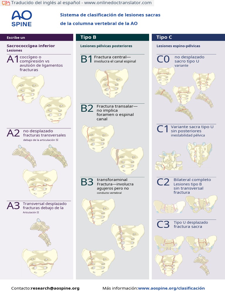 Aos Injury Classification Pocket Card Sacral 1 En Es Pdf