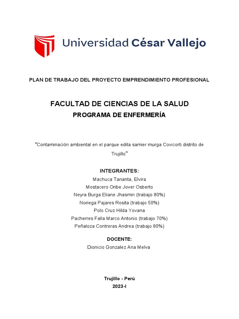 Informe Original Constitucion Pdf