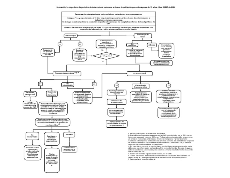 1a Algoritmo de TB Población General. | PDF | Tuberculosis ...