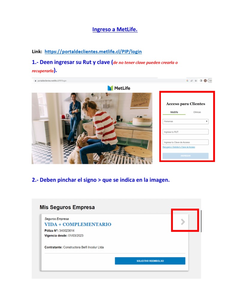 Portal Metlife | PDF