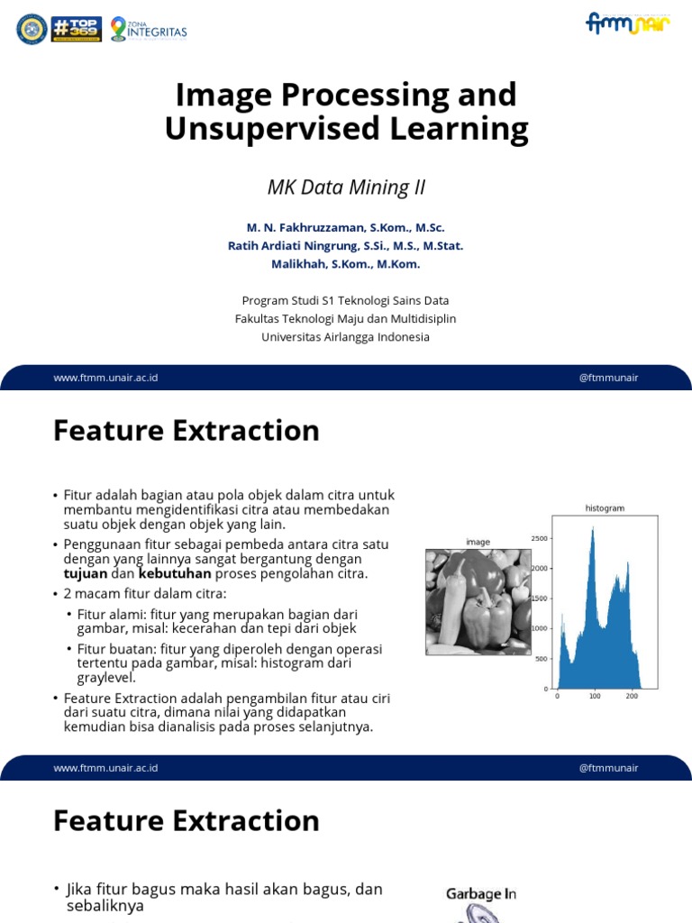 DM2 ImageClustering | PDF