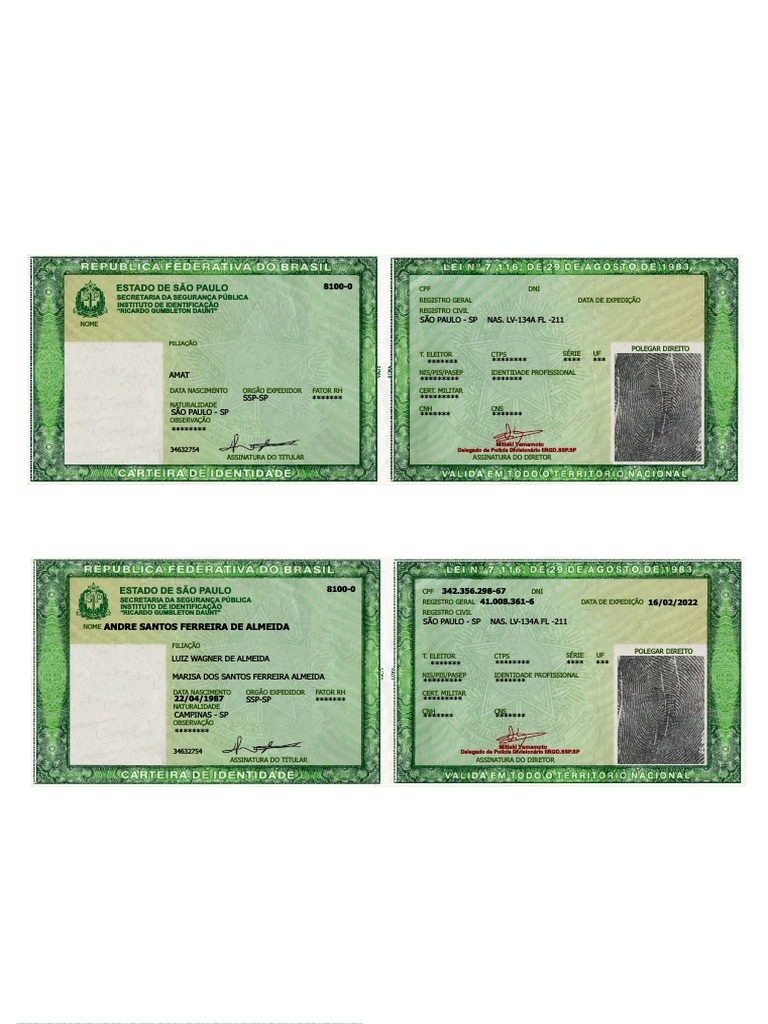 RG modelo novo (1) (1) | PDF