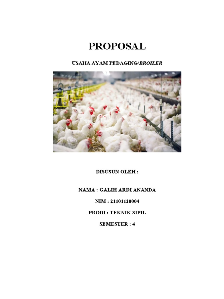 Proposal Usaha Ayam Pedaging Broiler | PDF | Bisnis | Pengelolaan ...