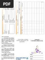 Carnet Perinatal Completo | PDF | El embarazo | Parto