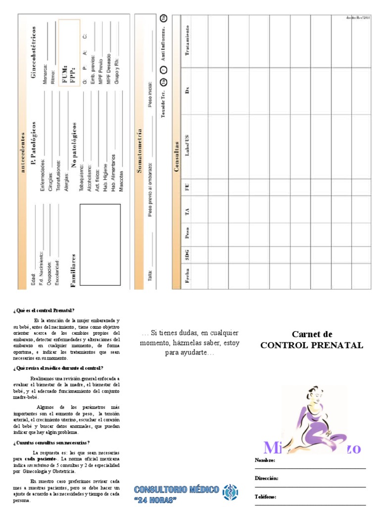 Carnet De Control Prenatal Para Embarazadas Pdf El Embarazo Medicina