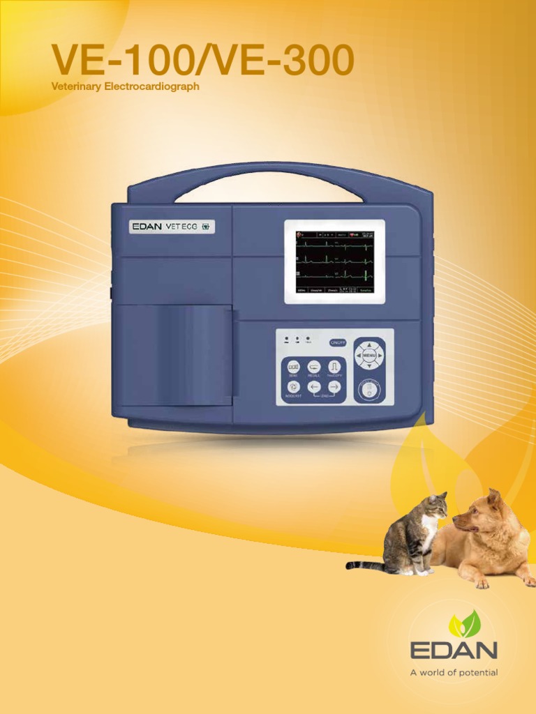 ENG ECG VE 100&VE 300 V2.4 20180125 (Blue) | PDF | Computer Engineering ...