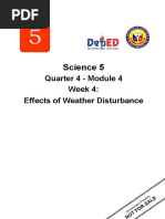 Types of Weather Disturbances Explained | PDF | Tropical Cyclones ...