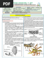 Protonefridios | PDF | Riñón | Sistema urinario