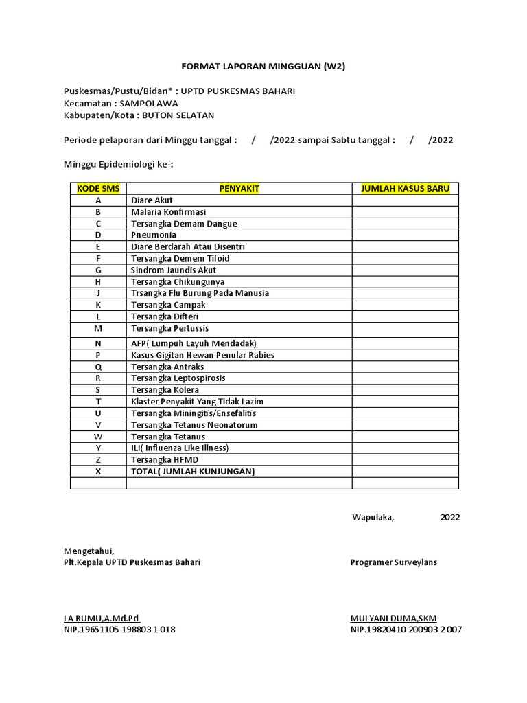 Format Laporan Mingguan w2 | PDF