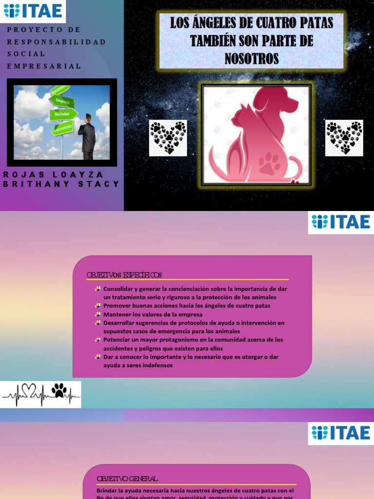 Expo Final Lide Raz Go | PDF | Presupuesto | Economias