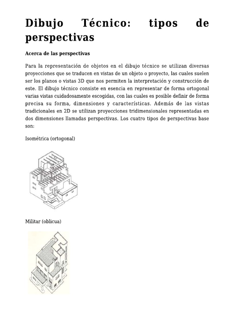 Tipos de Perspectivas | PDF
