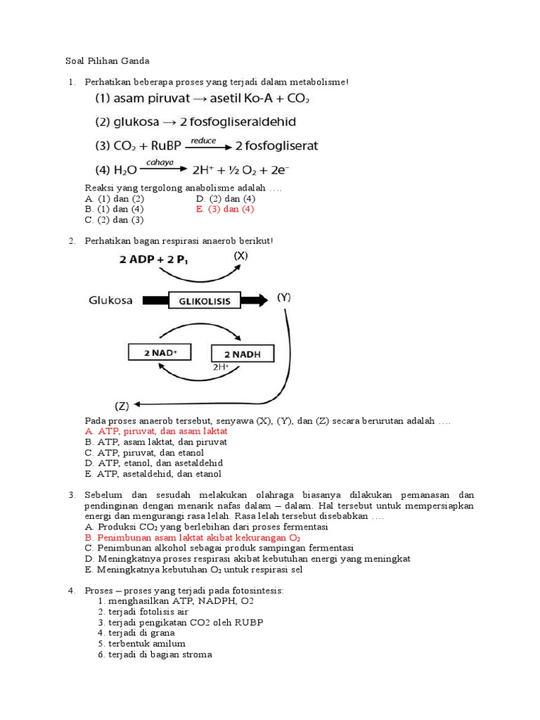 Soal UH Metabolisme Paket A | PDF | Kesehatan Holistik | Sains & Matematika