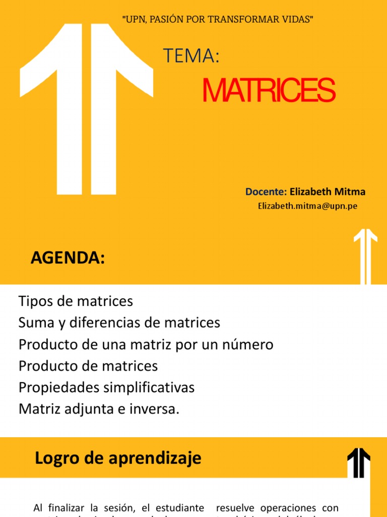 Matr Cies | PDF | Matriz (Matemáticas) | Análisis matemático