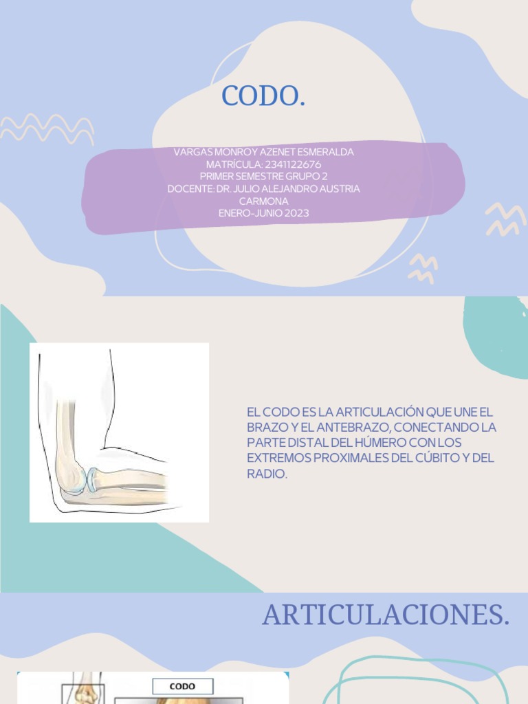 Codo | PDF