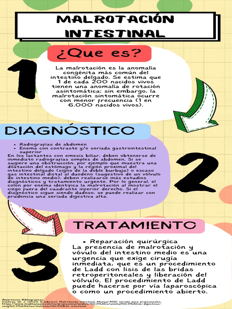 Malrotación Intestinal (1) | PDF | Órgano (anatomía) | Enfermedades y ...