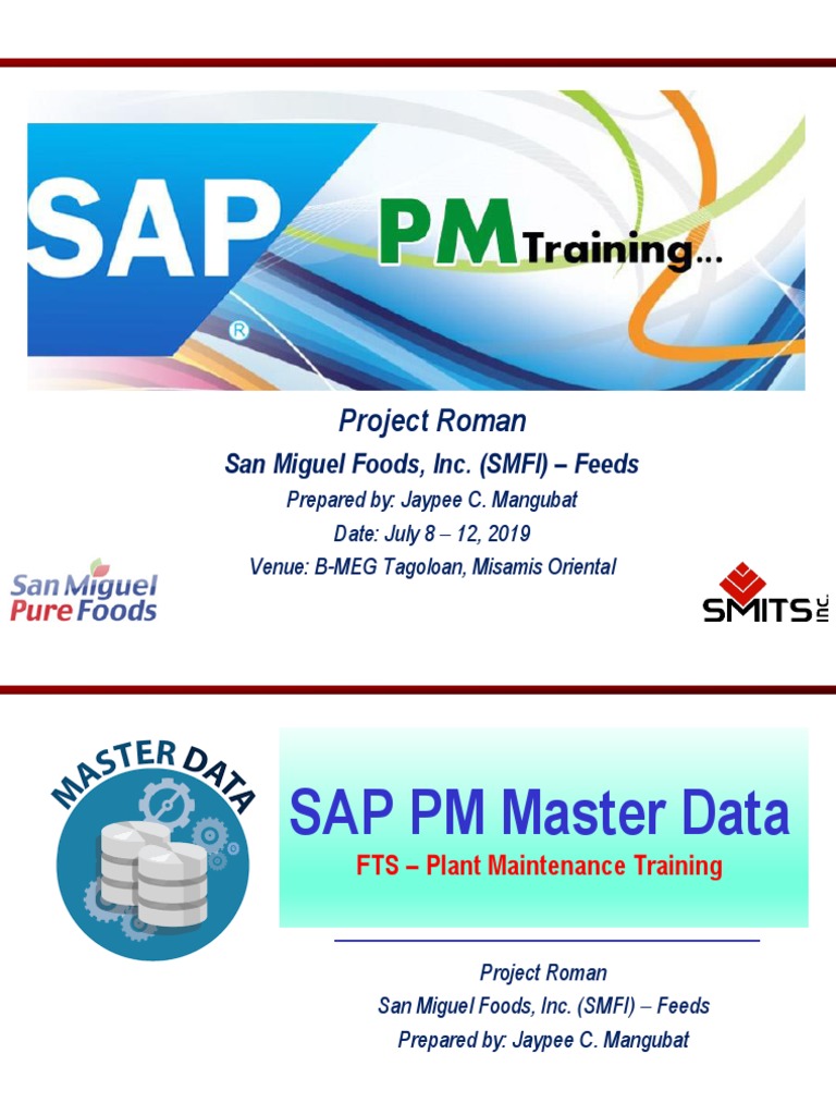 01 FTS PM Master Data - v2.0 | PDF