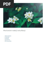 Estry - Budowa I Wlasciwosci | PDF