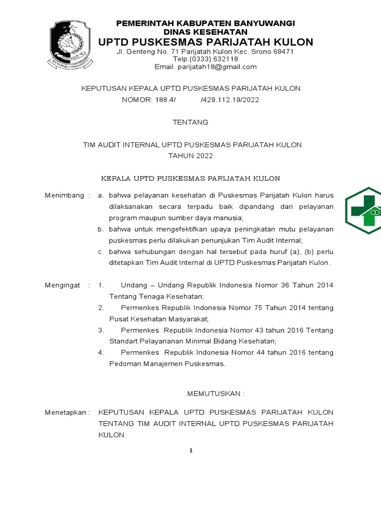 Keputusan Tim Audit Internal Puskesmas | PDF