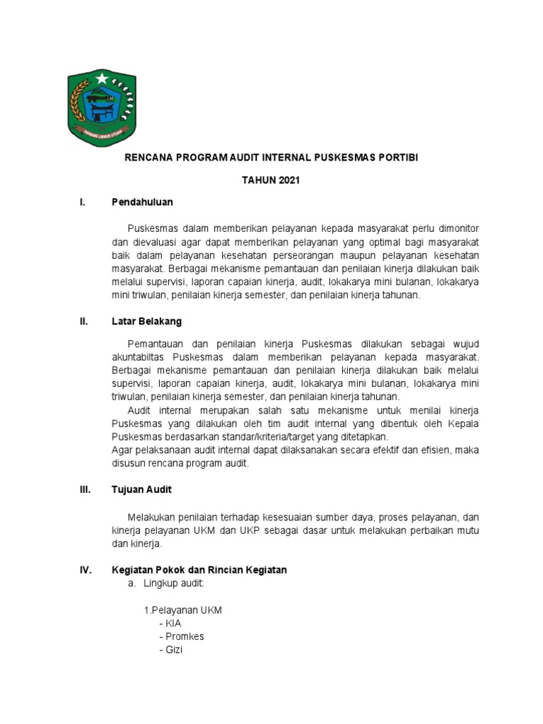Rencana Audit Internal Puskesmas | PDF