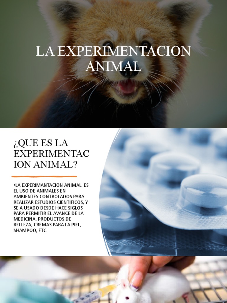 La Experimentacion Animal | PDF | Salud y bienestar