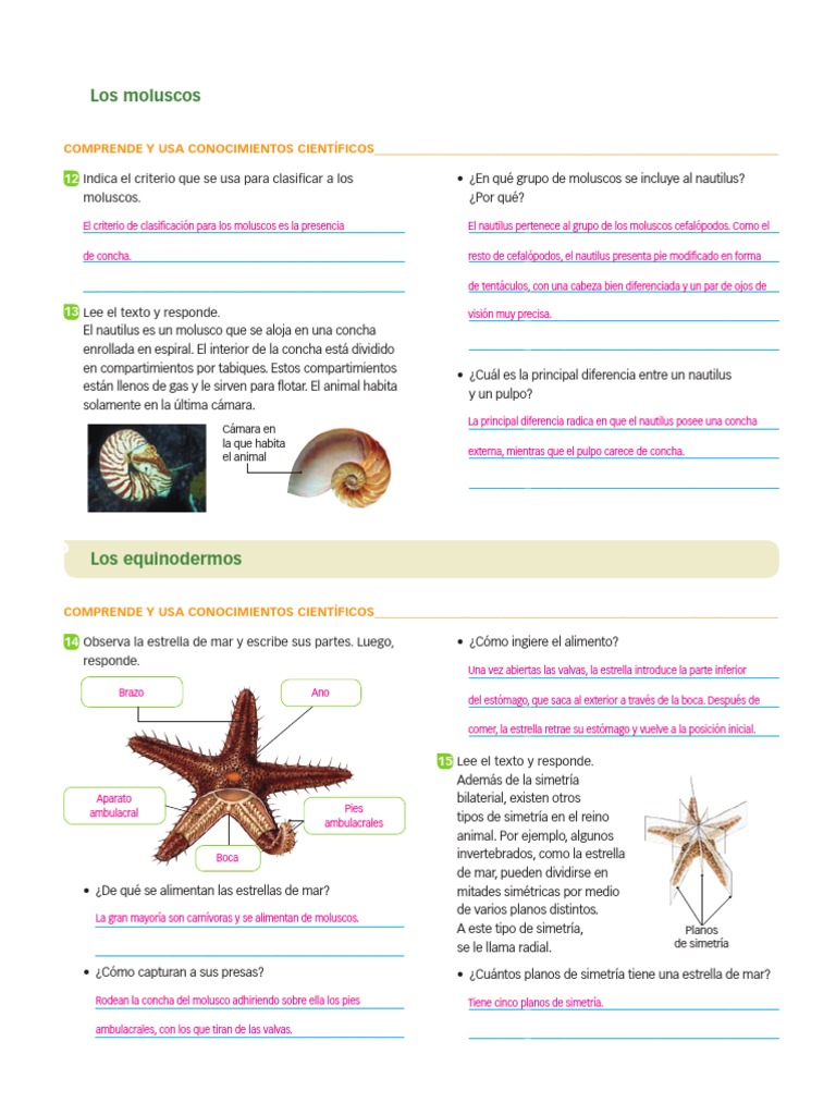 B-1º Sol-Pract-Act2 Cyt U3 | PDF | Moluscos | Pulpo
