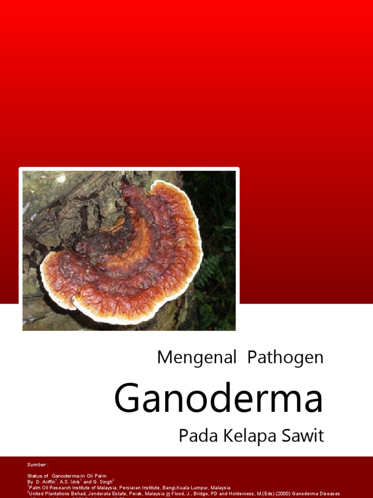 Penyakit Ganoderma pada Kelapa Sawit | PDF | Teknologi & Rekayasa
