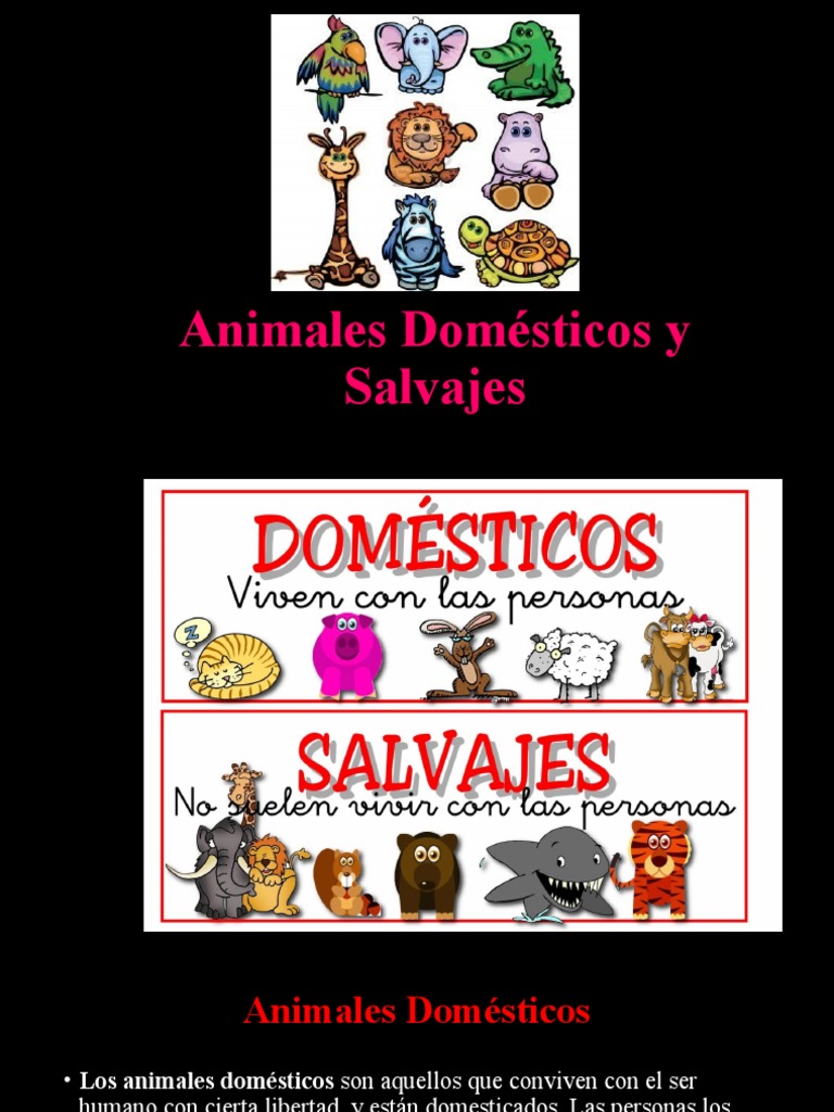 Animales Domésticos y Salvajes: Guía Infantil | PDF | Mascota ...