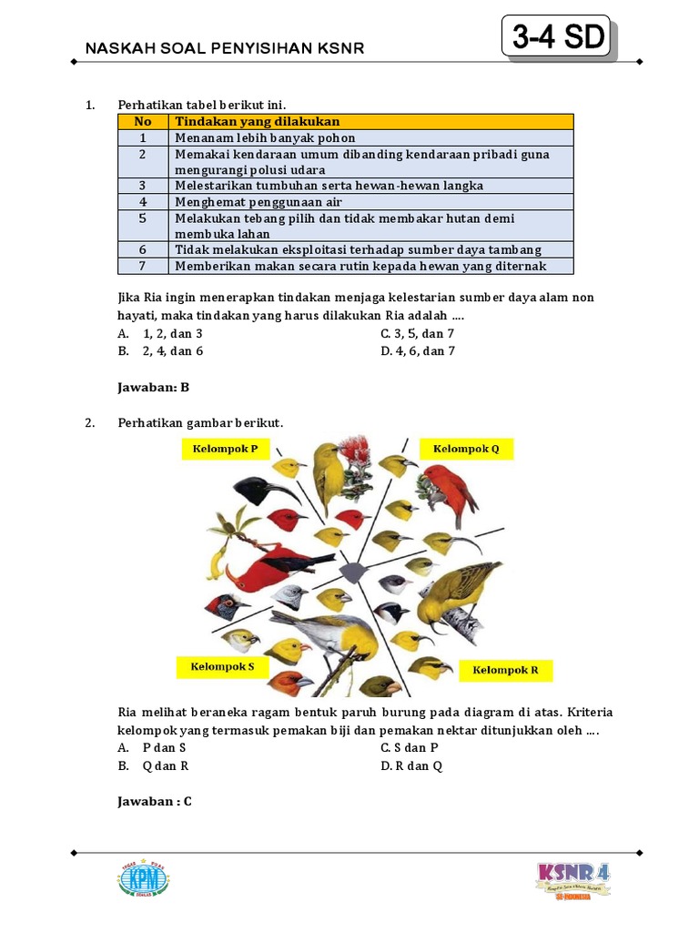 NS Penyisihan KSNR 3-4 2022 | PDF | Kajian Bahasa Asing