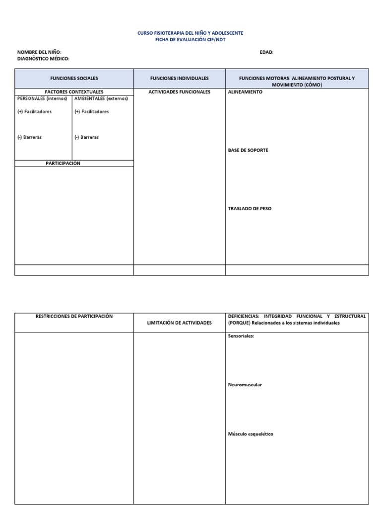 Formato Ficha CIF.ndt | PDF
