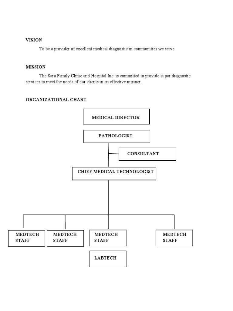 Organizational Chart Lab | PDF