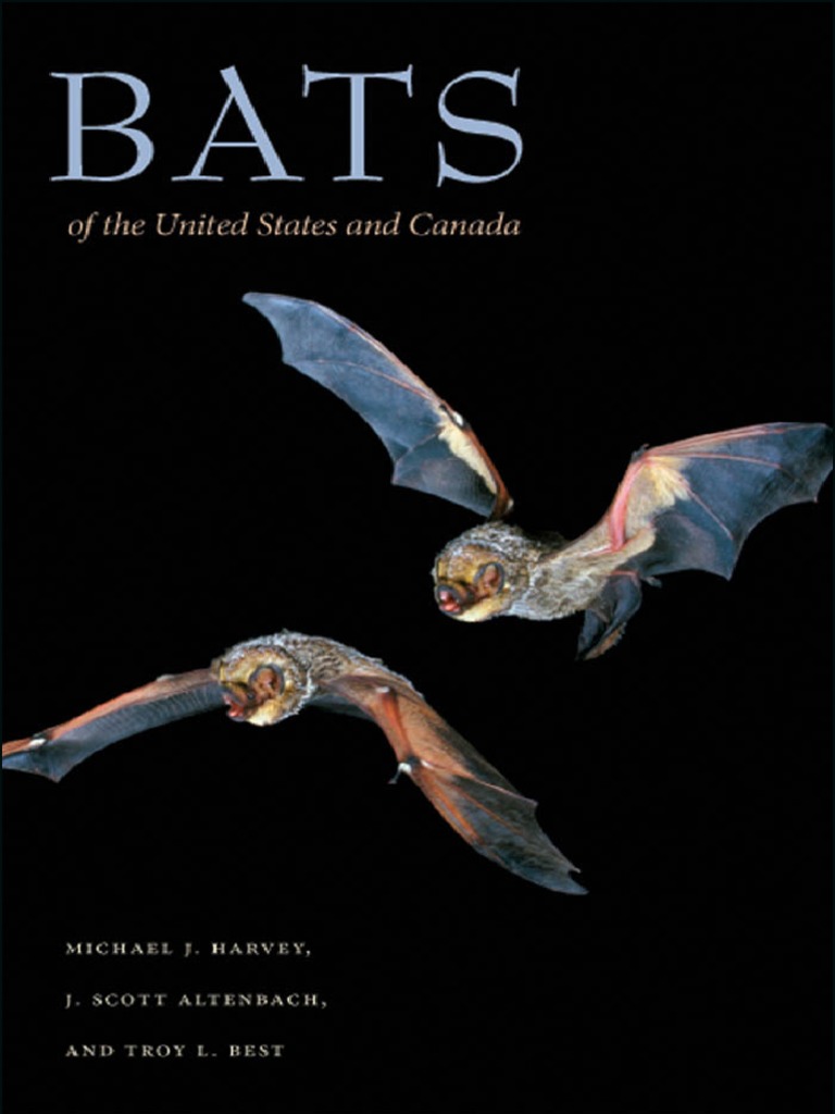 Bats of The United States and Canada | PDF | Bat | Mammal Orders