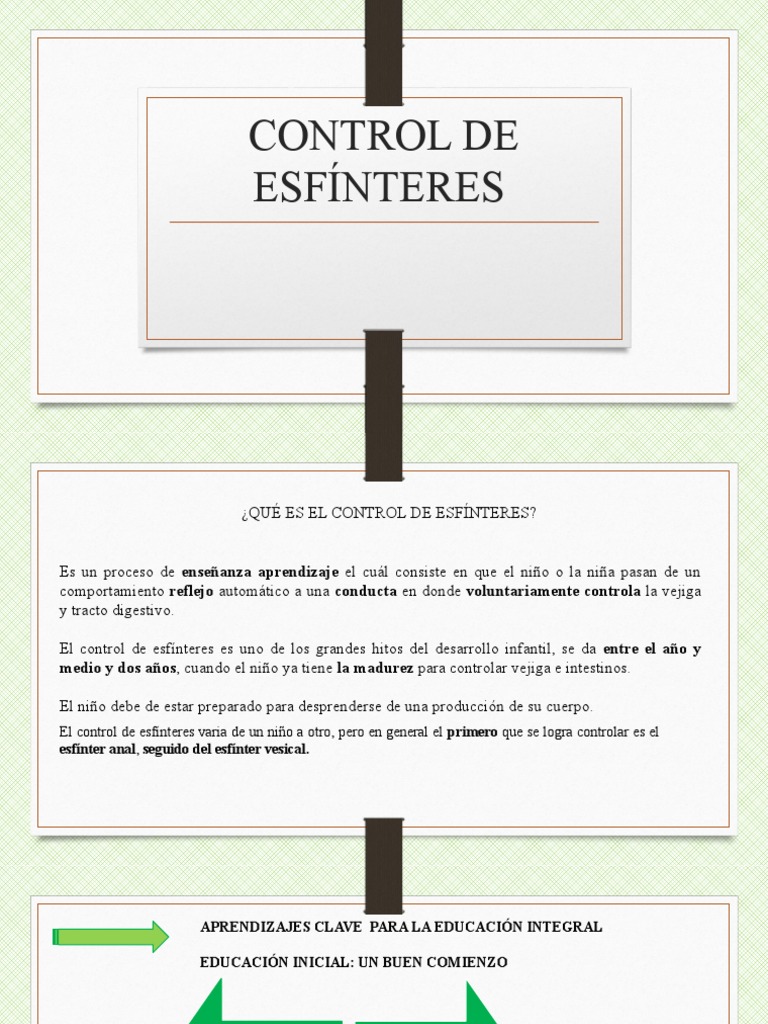 Control de Esfínteres | PDF